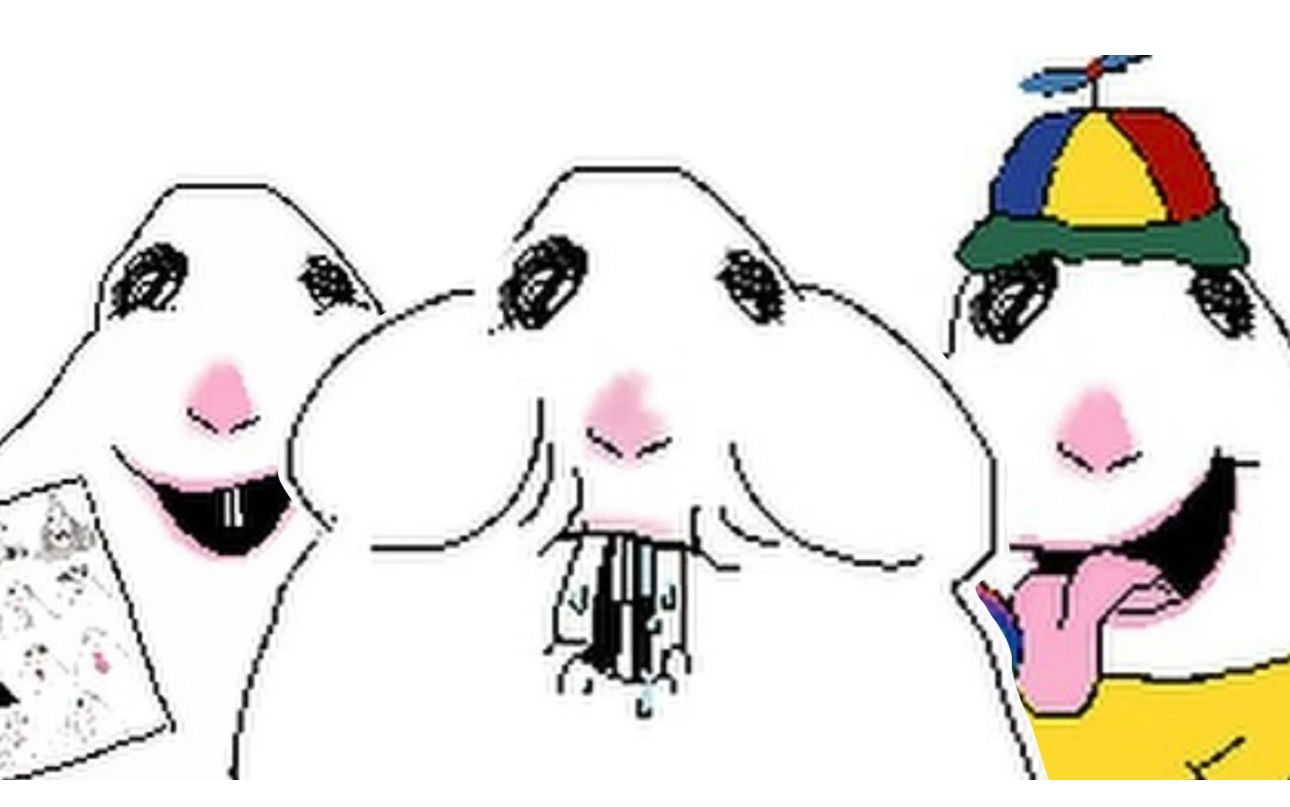 hammy Price Today: Live hammy to USD, Chart | Buy hammy Coin