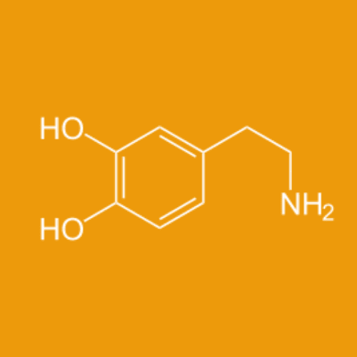 Gen-Z Currency Price Today: Live Dopamine to USD, Chart | Buy Dopamine Coin