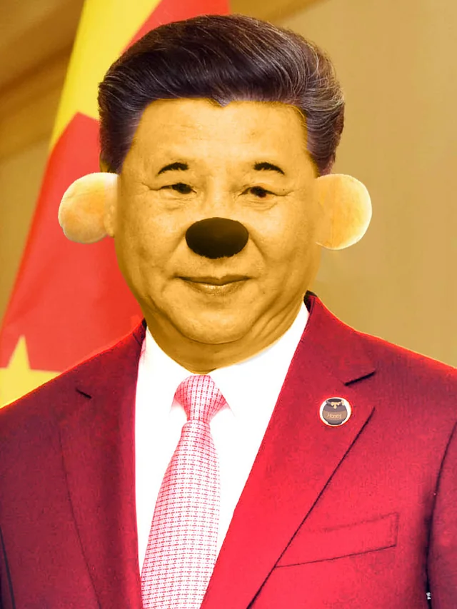 Prix de First Banned Meme In China aujourd'hui : graphique WINNIE /USD ...