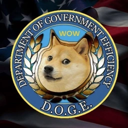 The Dep Of Government Efficiency Price Today: Live D.O.G.E to USD ...