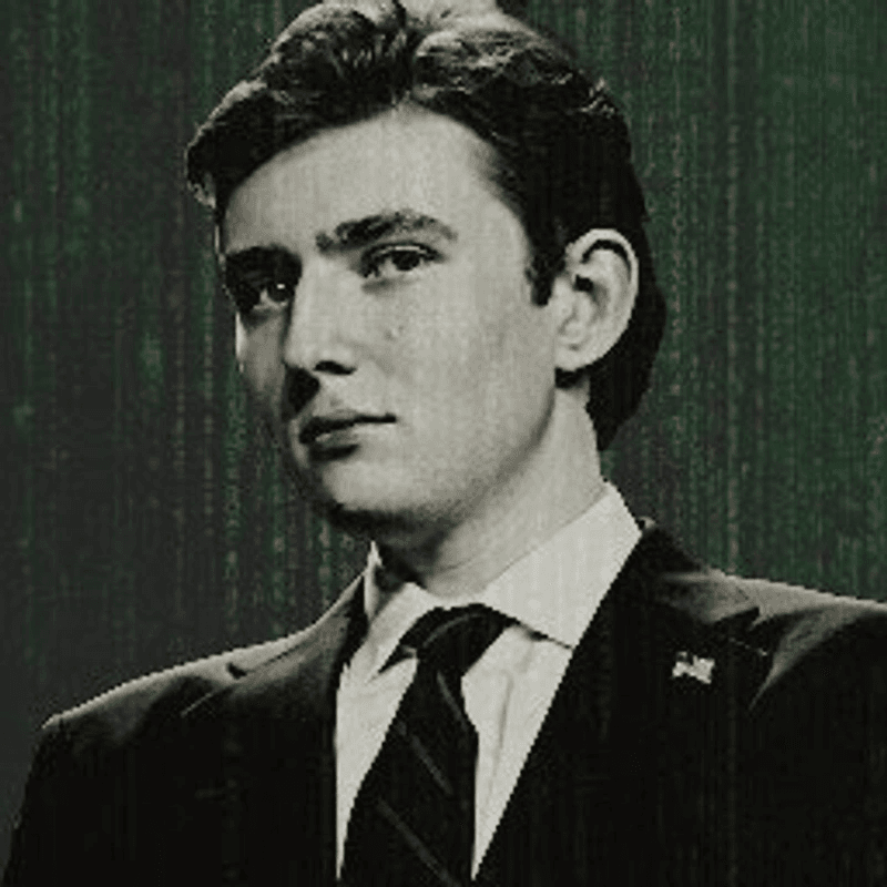 Barron Meme Price Today: Live BARRON to USD, Chart | Buy BARRON Coin